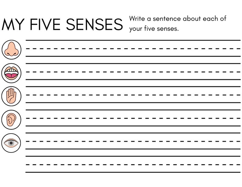 Five Senses Worksheet - Etsy
