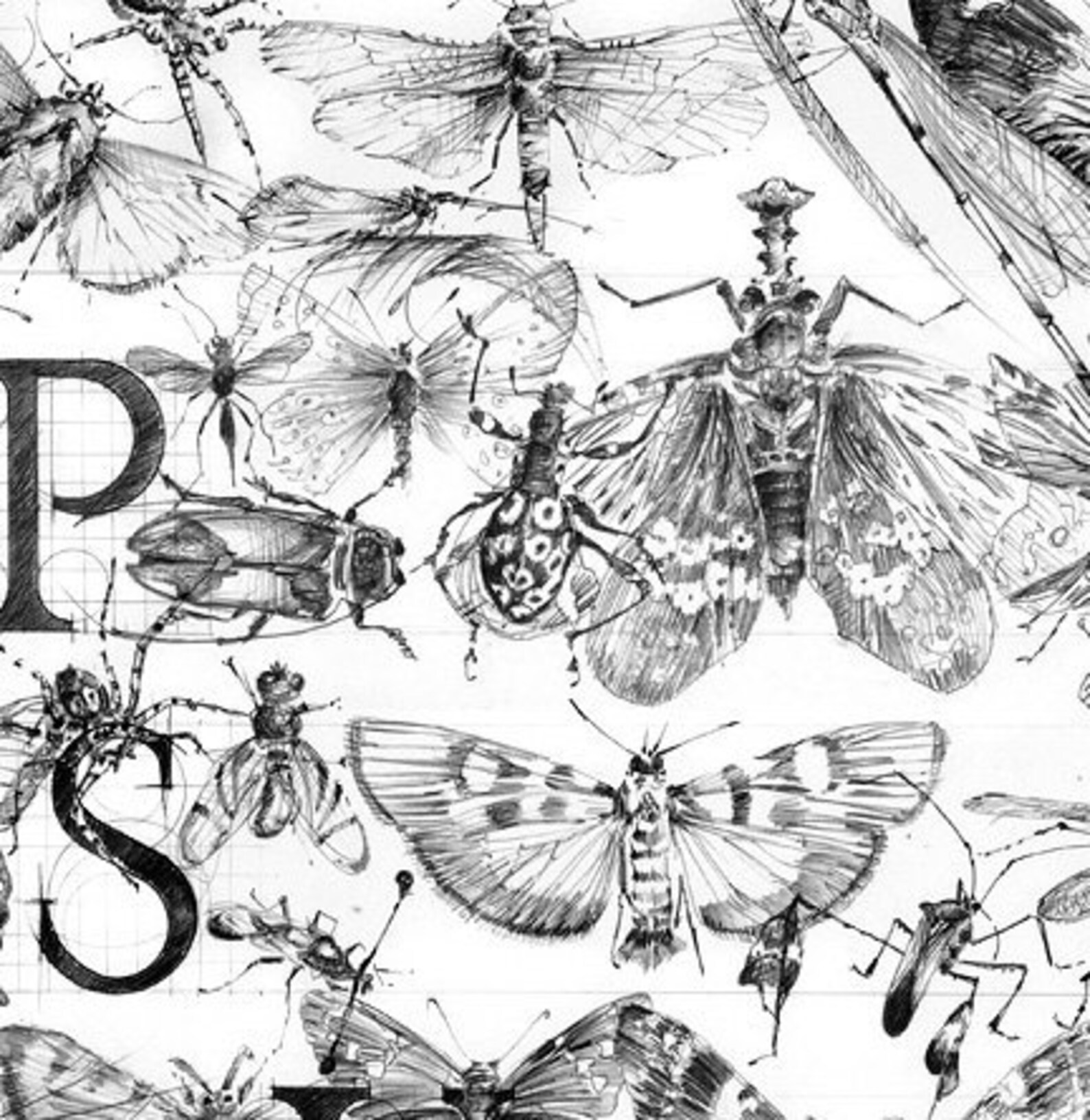 Alphabugs Alphabet, Print - Etsy