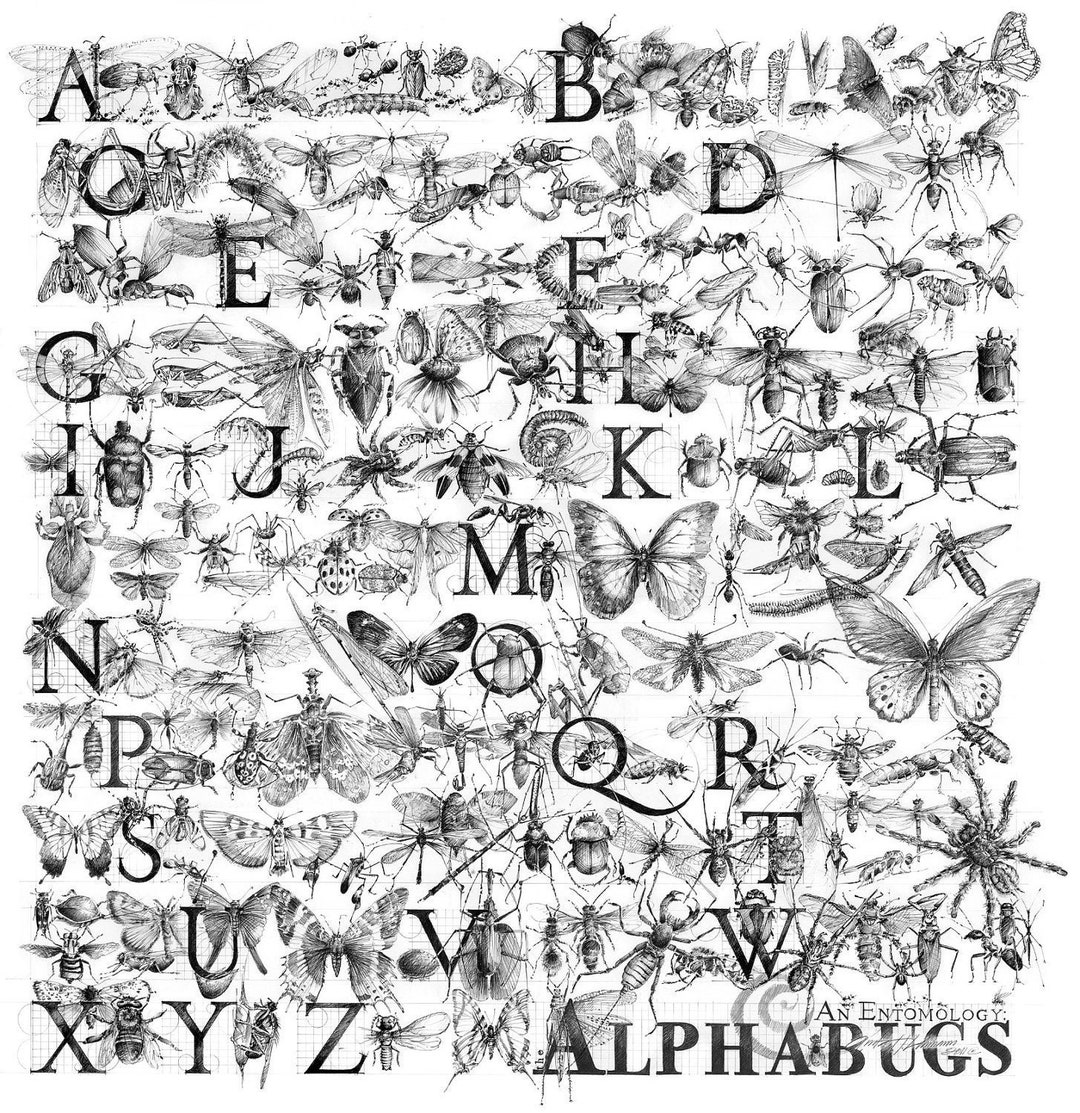 Alphabugs Alphabet, Print - Etsy