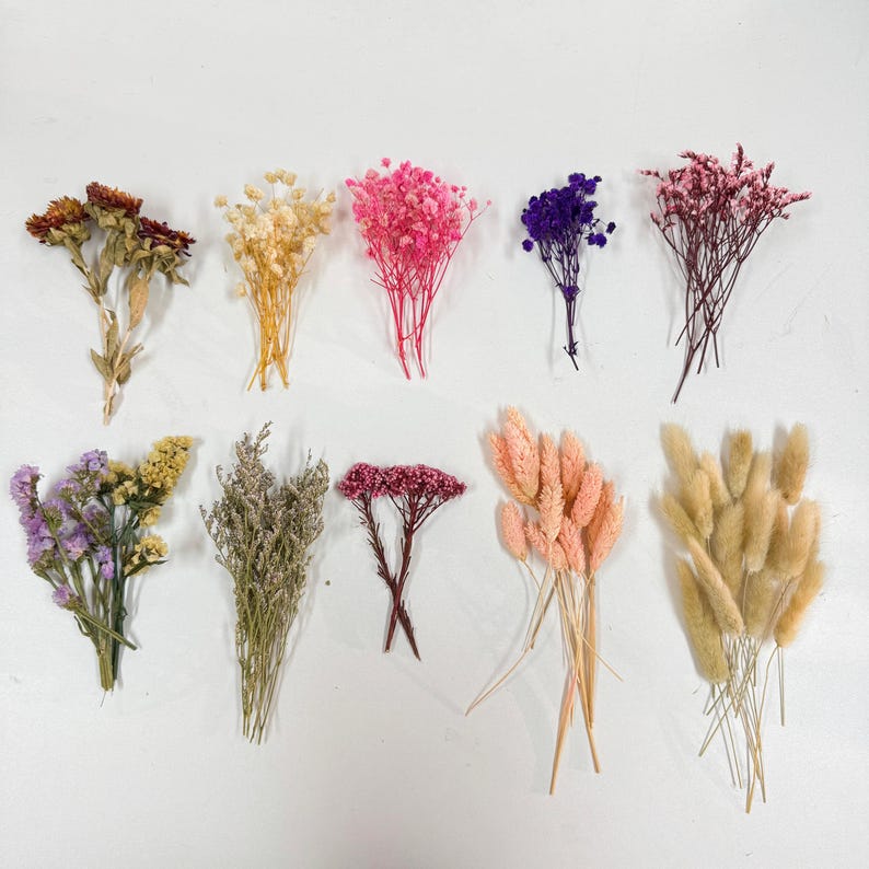 Dried Flower Mix Craft Box, Botanical Art Supplies, Fall Wedding Decor ...