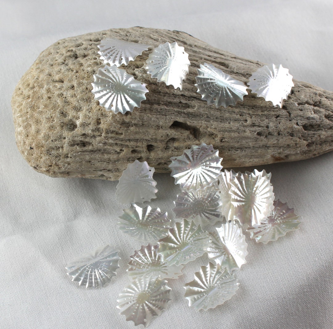 VINTAGE Sequins - Round Scalloped Edge Sea Shell Style - Off-white ...