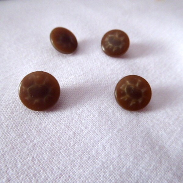 Vegetable Ivory - Etsy