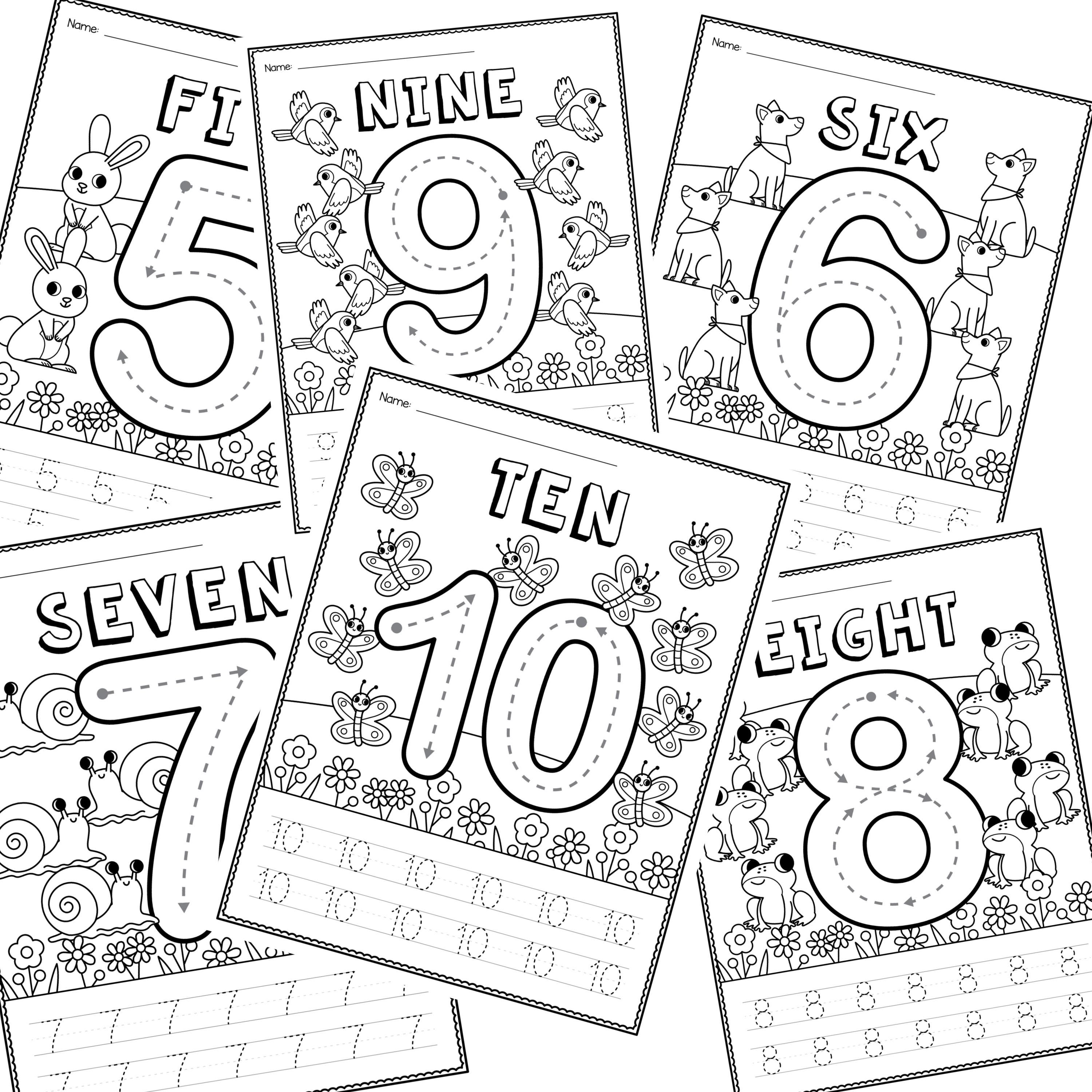 Preschool Numbers 1-10 Tracing and Counting Worksheets | Pre-k and ...