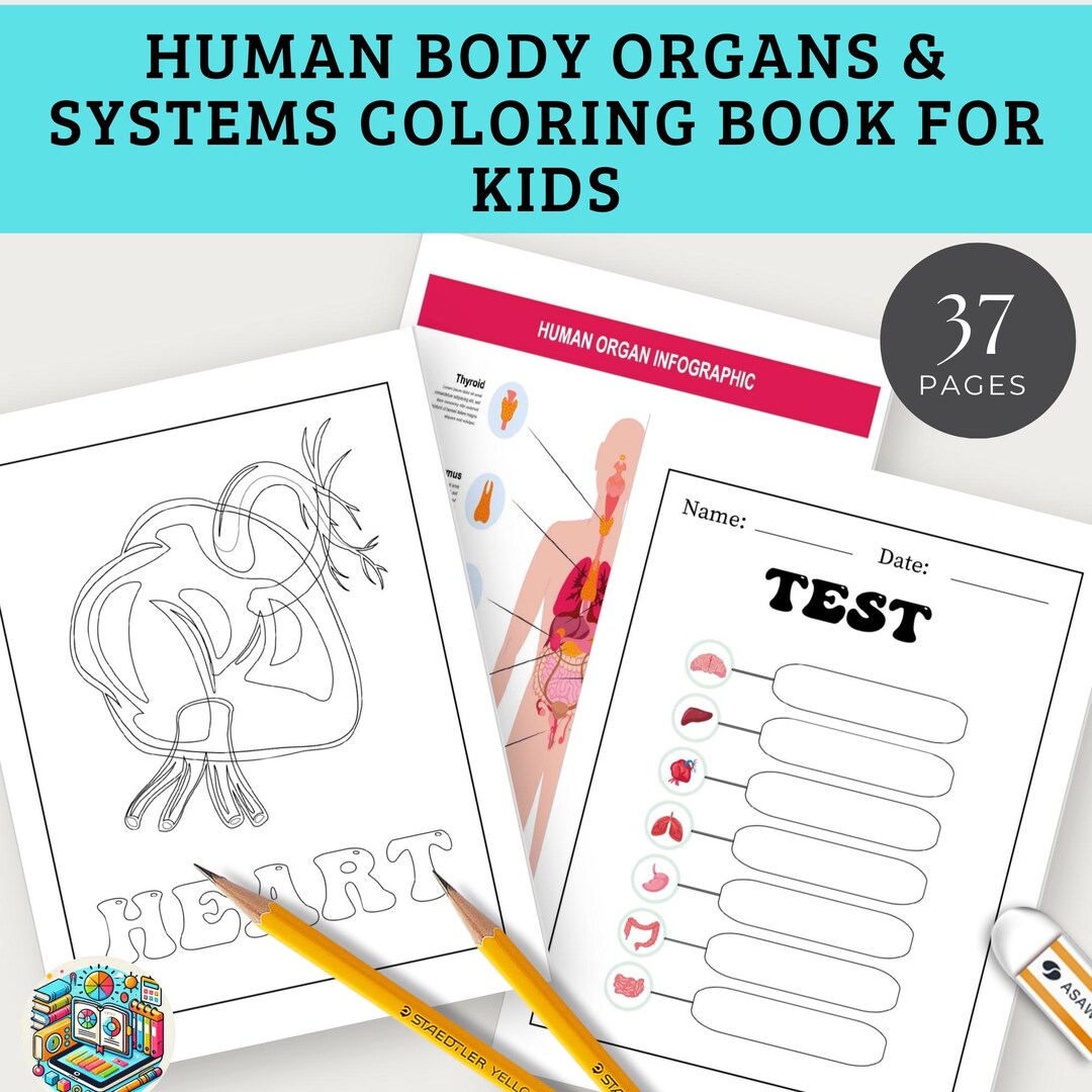 Human Body Organs & Systems Coloring Book for Kids - Etsy