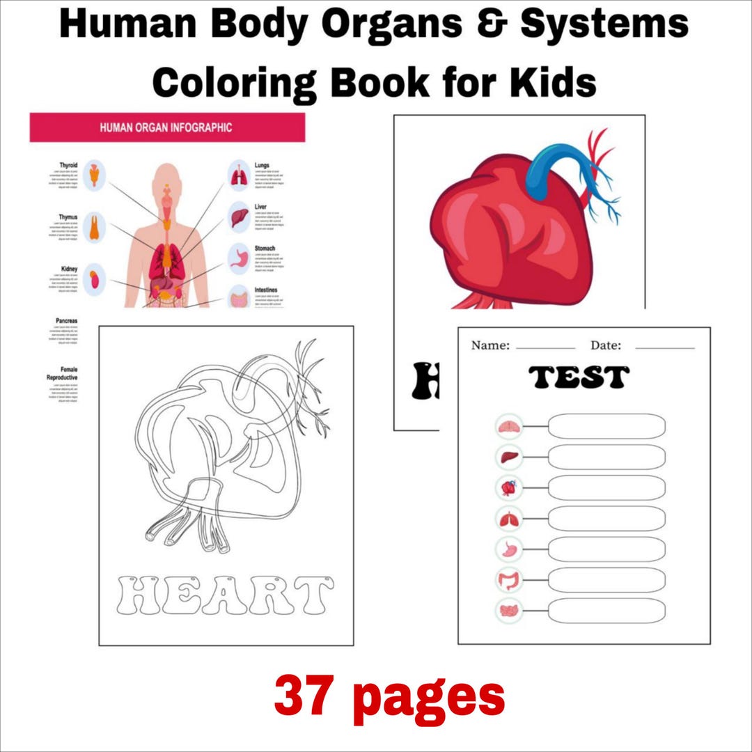 Human Body Organs & Systems Coloring Book for Kids - Etsy