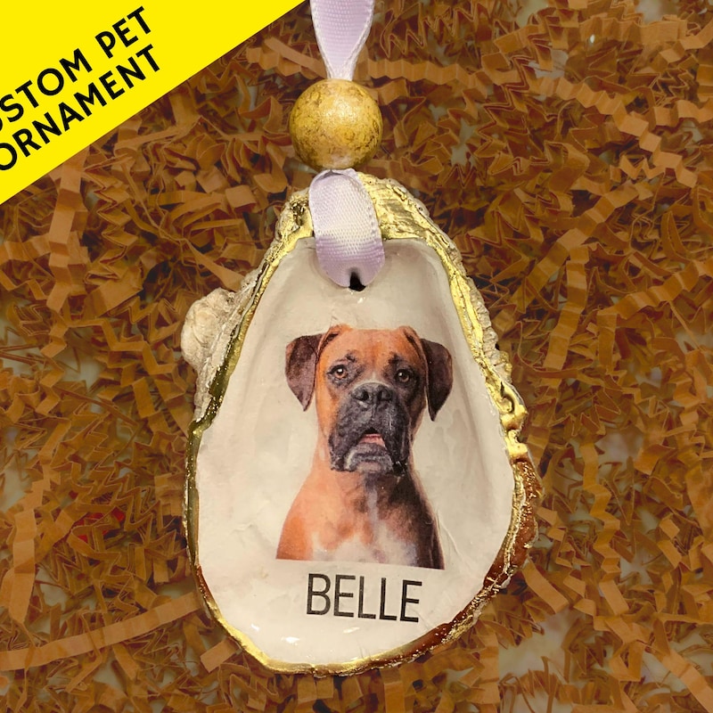 Black Cat Oyster Shell - Etsy