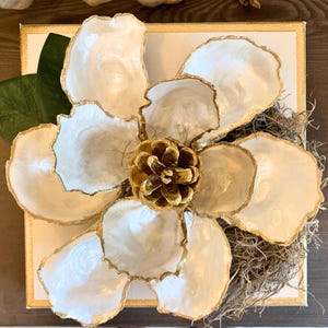 Large Oyster Shell Magnolia Flower, 2 Layer/tier, Oyster Magnolia ...