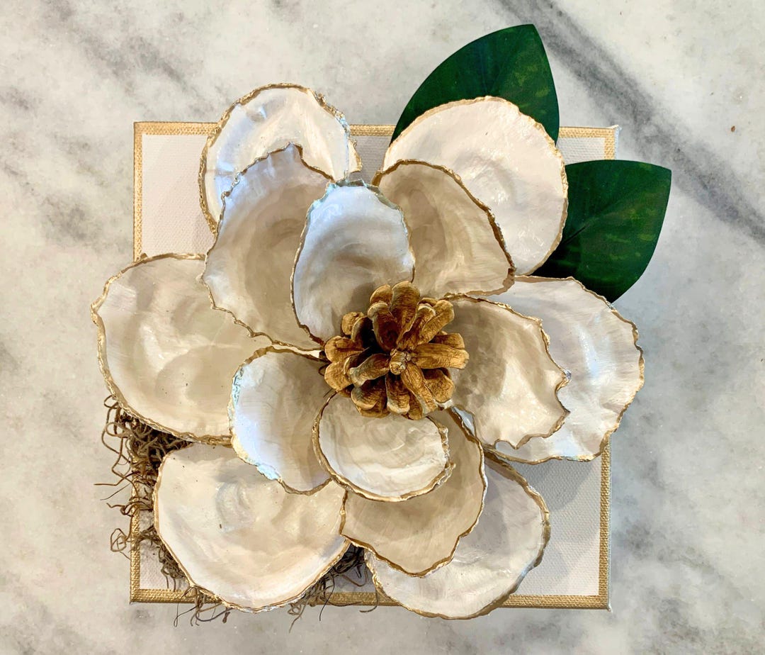 Large Oyster Shell Magnolia Flower, Oyster Magnolia Blossom, Southern ...