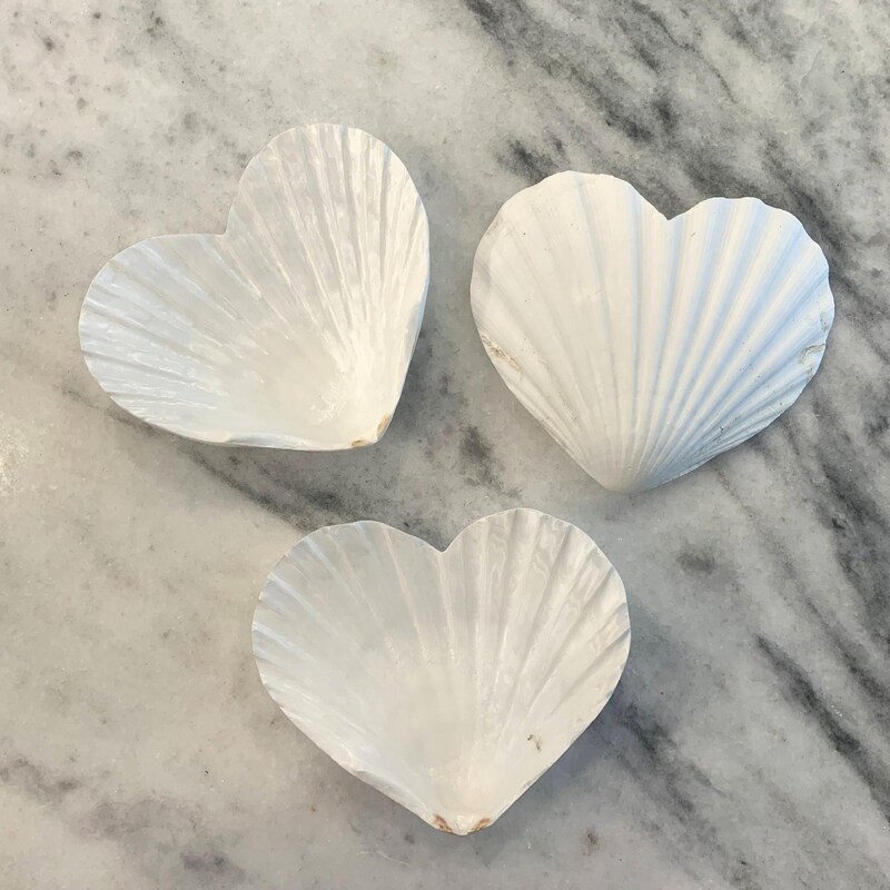 Heart Shaped Shell - Etsy