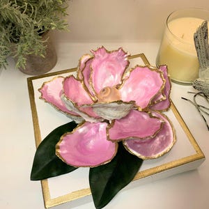 Pink Oyster Shell Magnolia Flower, Oyster Shell Magnolia Blossom ...