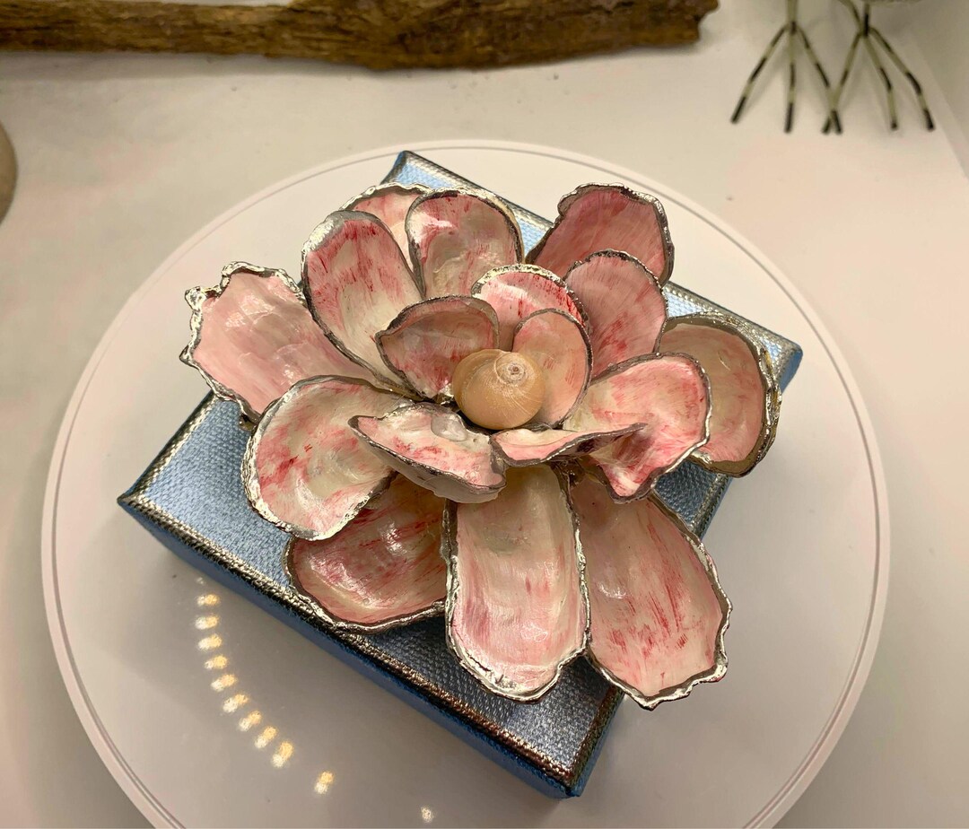 Small Pink Oyster Shell Magnolia Blossom, Southern Magnolia Shells ...