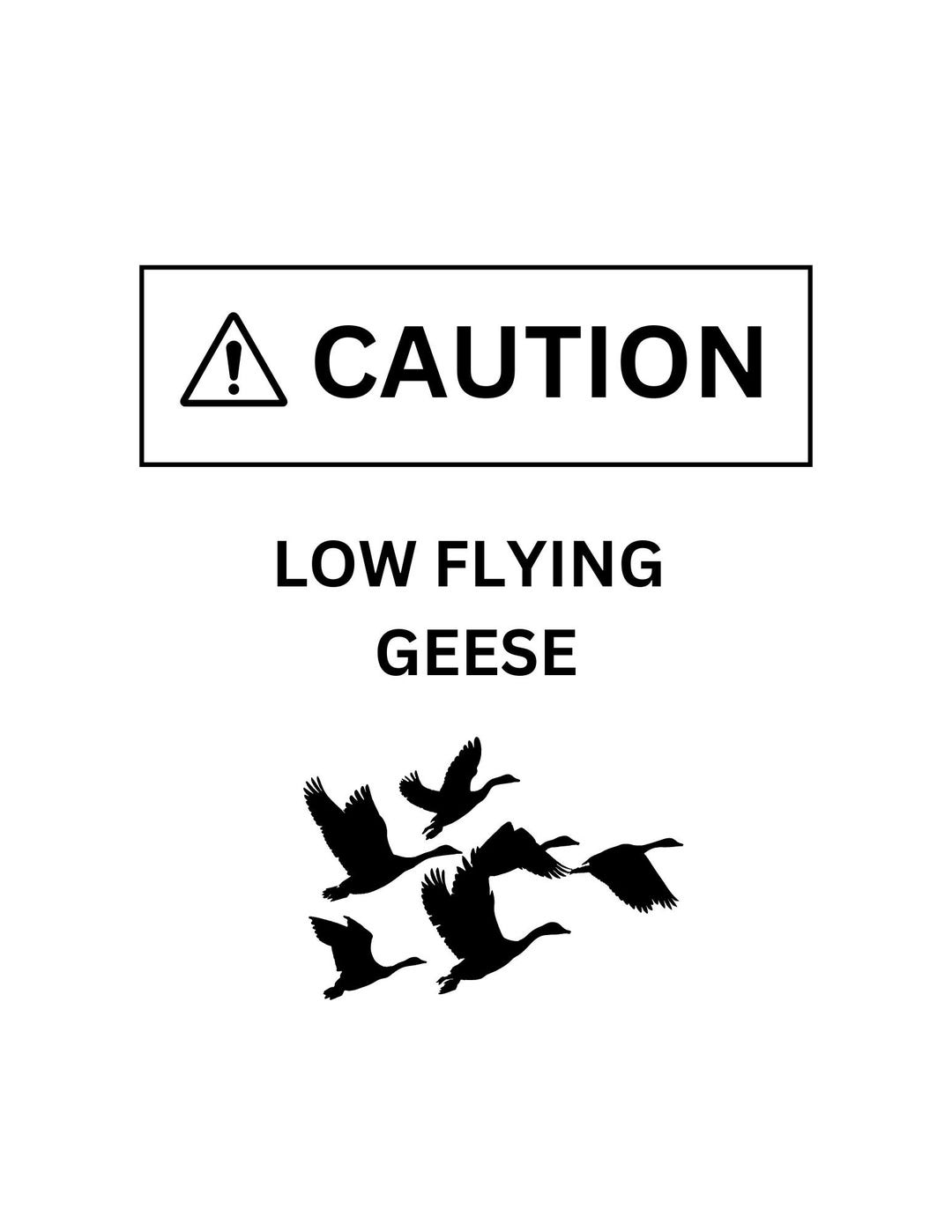Caution - Low Flying Geese Print - Etsy