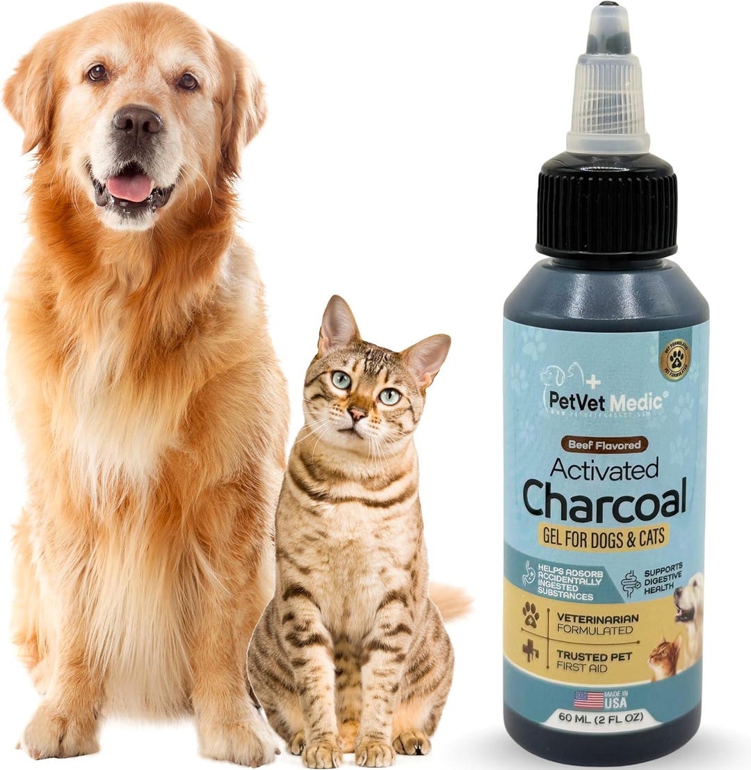 Flavored Activated Charcoal Gel for Dogs and Cats: Pet First Aid ...