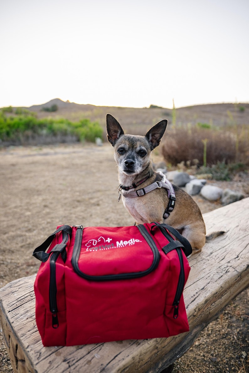 Pet First Aid Kit: Petvet Medic Emergency Supplies, Wound Care - Etsy