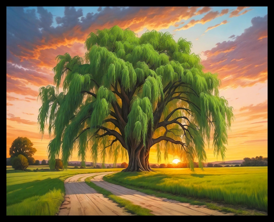 Willow Tree Sunset Print, 9 Year Anniversary Gift - Etsy