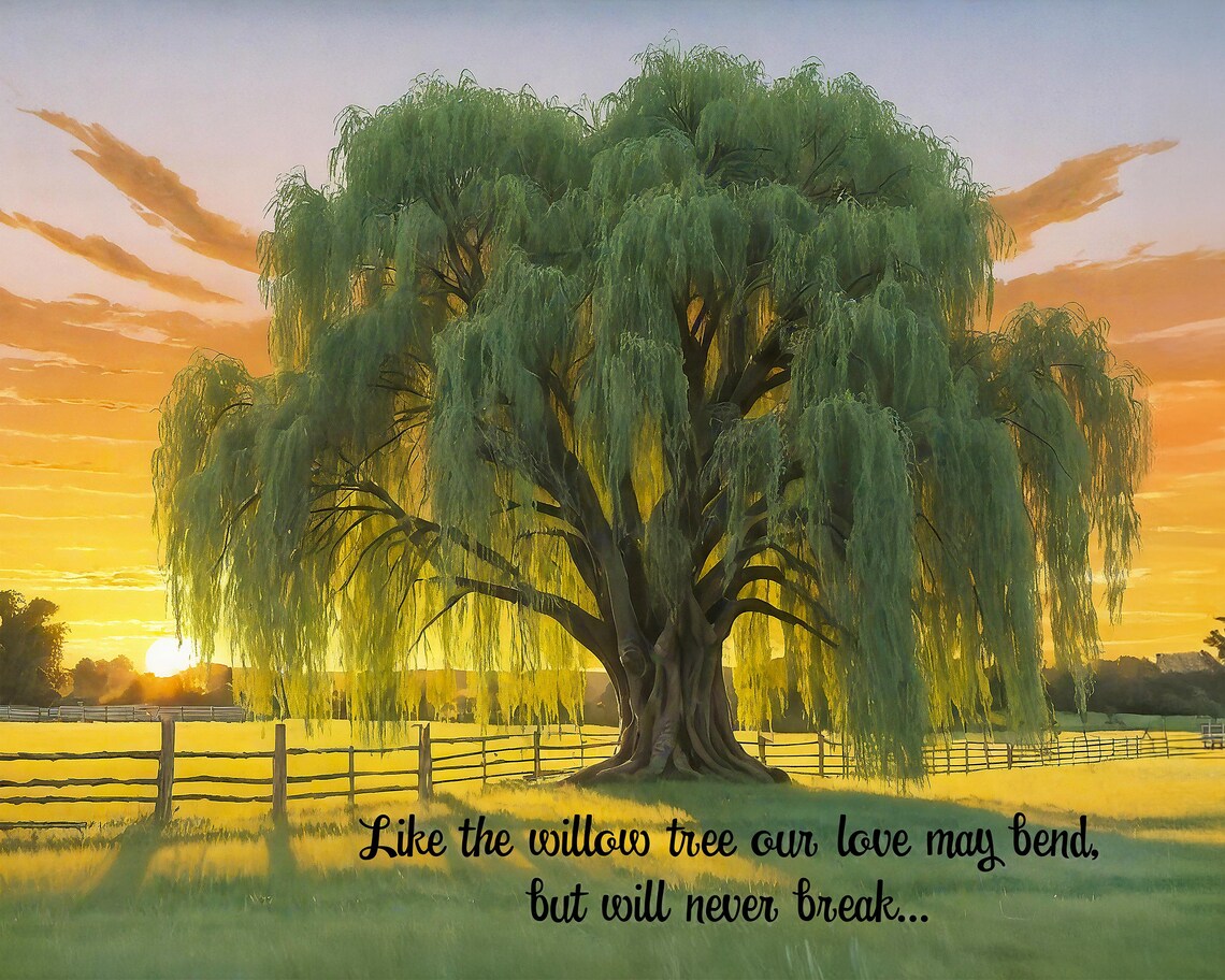 Willow Tree Print! Great 9 Year Anniversary Gift or Wedding Gift for ...