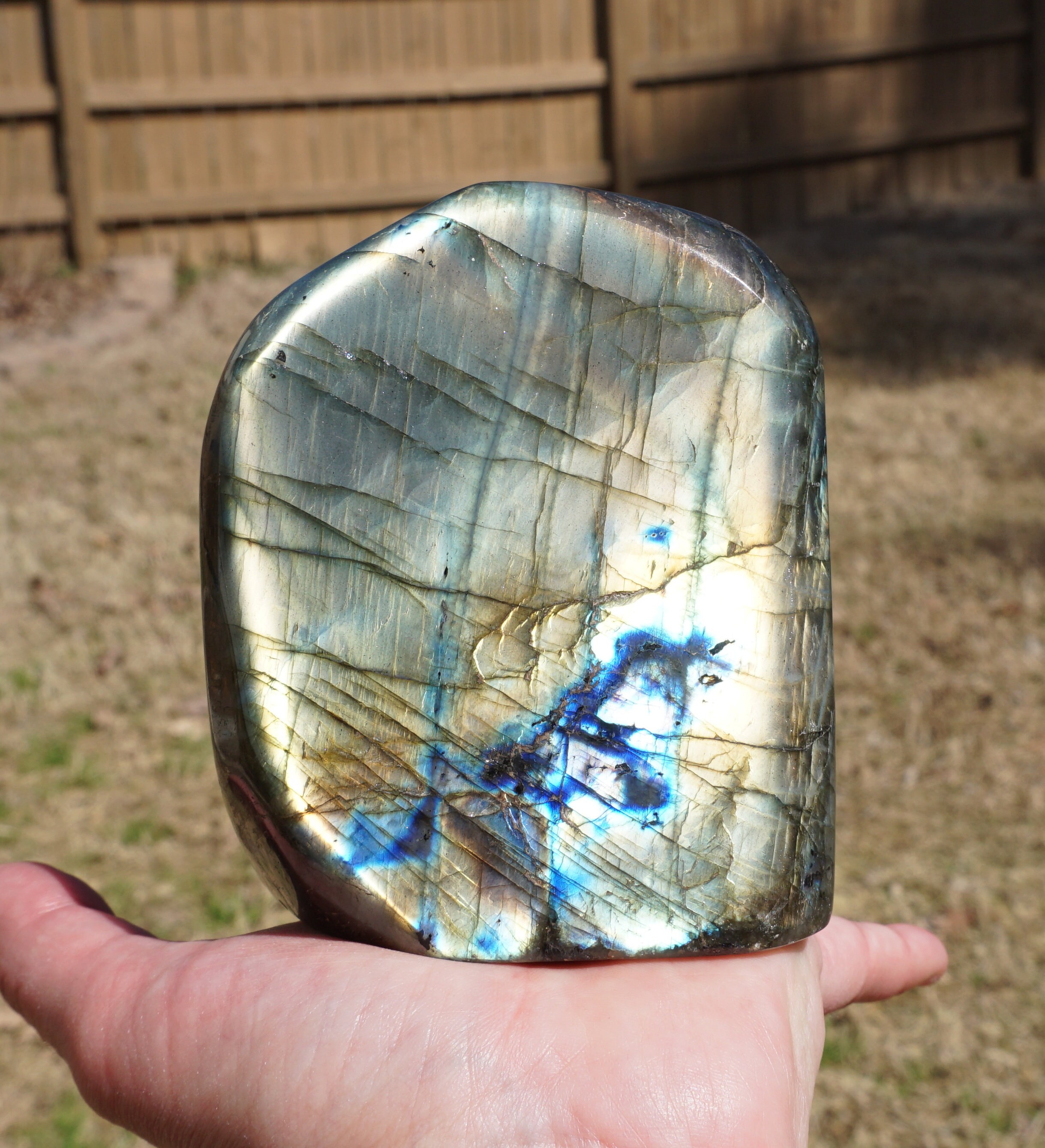 Labradorite 8 Stand up Large High Quality Polished Genuine - Etsy UK