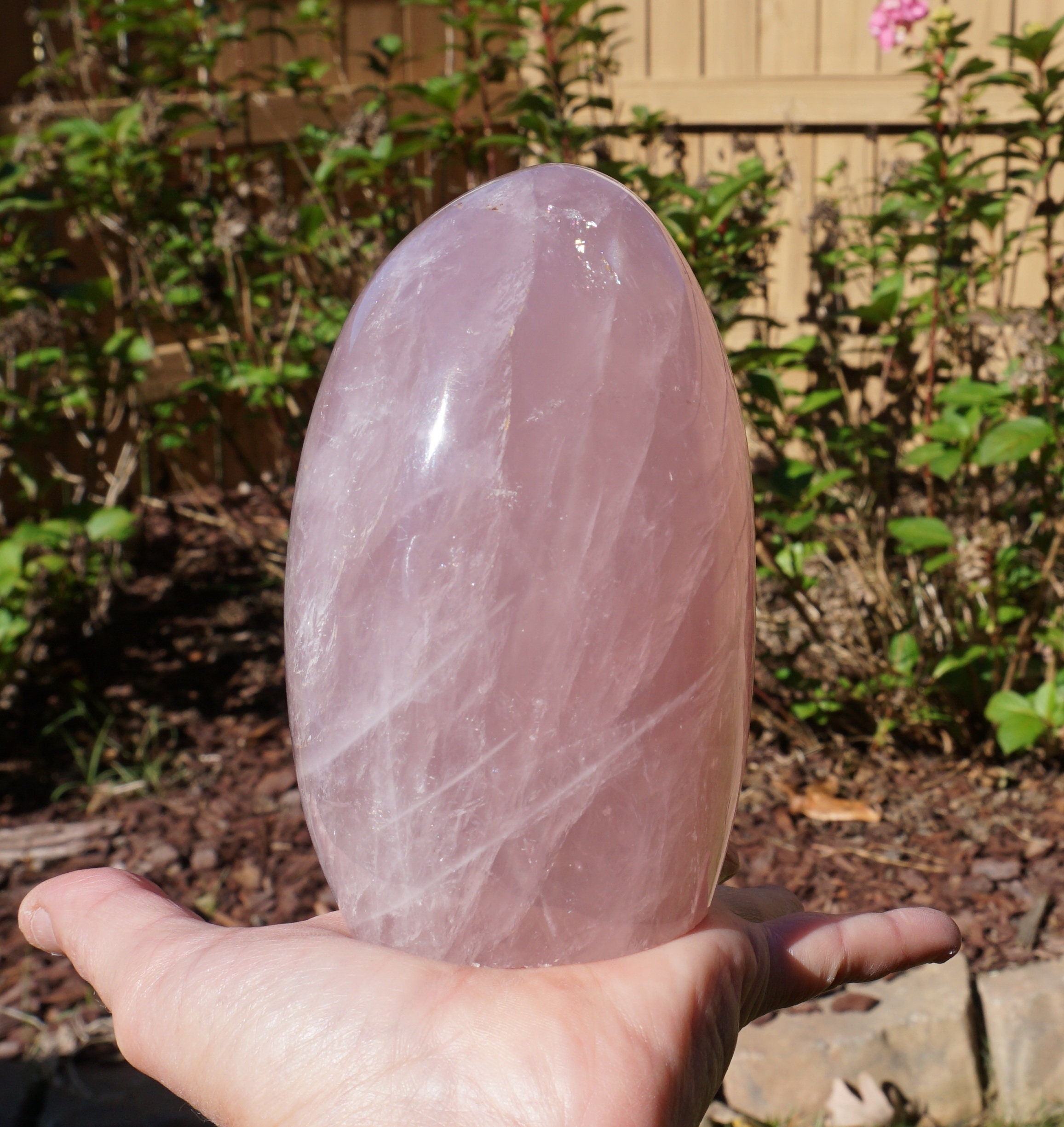 Large Rose Quartz 2 Genuine High Quality Polished Freeform | Etsy