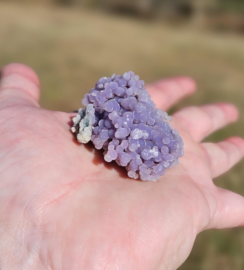 Grape Agate ~ Natural Purple Druzy Botryoidal Chalcedony ~ 2.3" X 1.5 ...