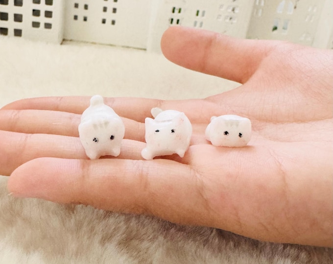 Custom Realistic Cat Squishy | Taba Squishy | Stress Reliver | Gift for ...