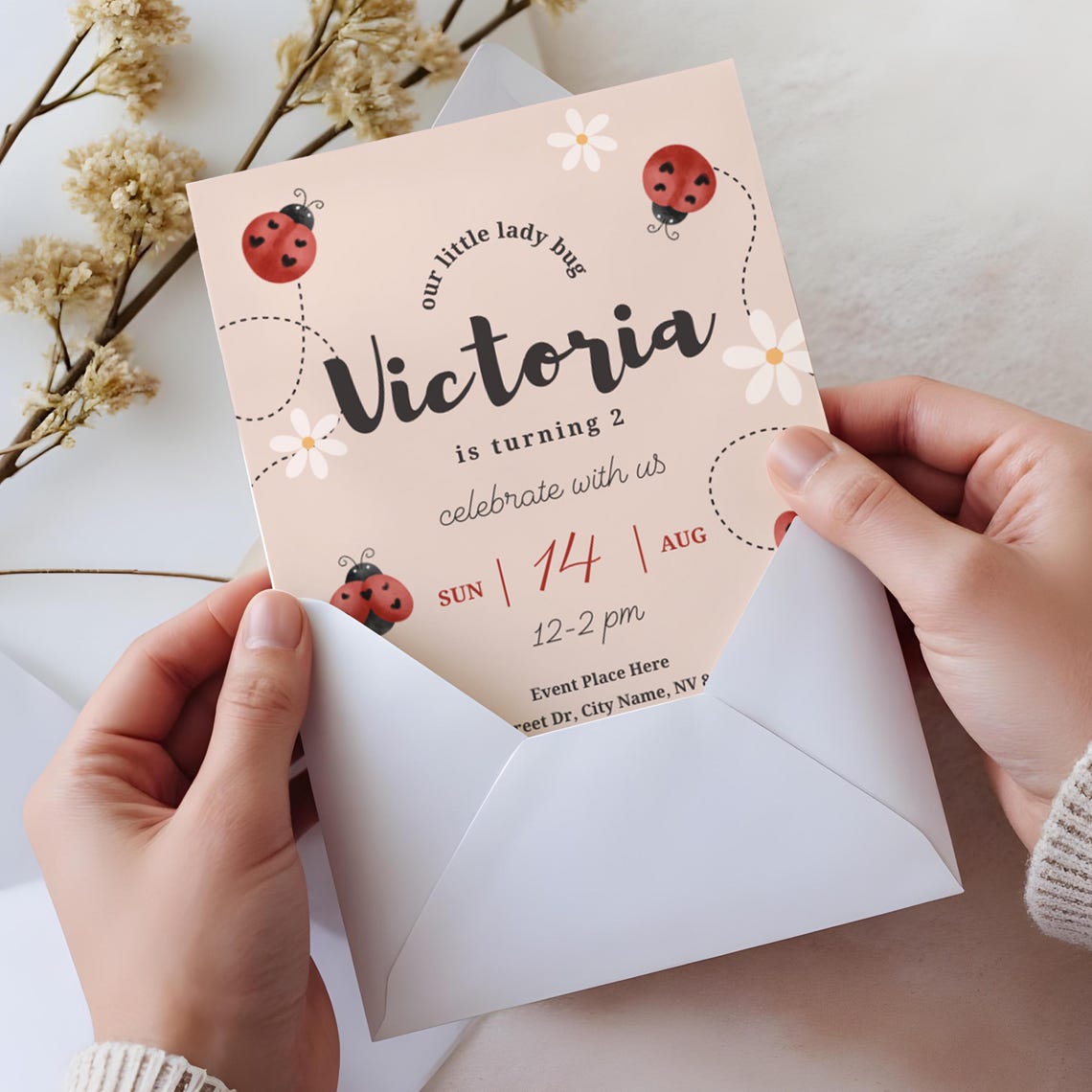 Ladybug Birthday Invitation Template: Girl 1st, 2nd Birthday (digital ...