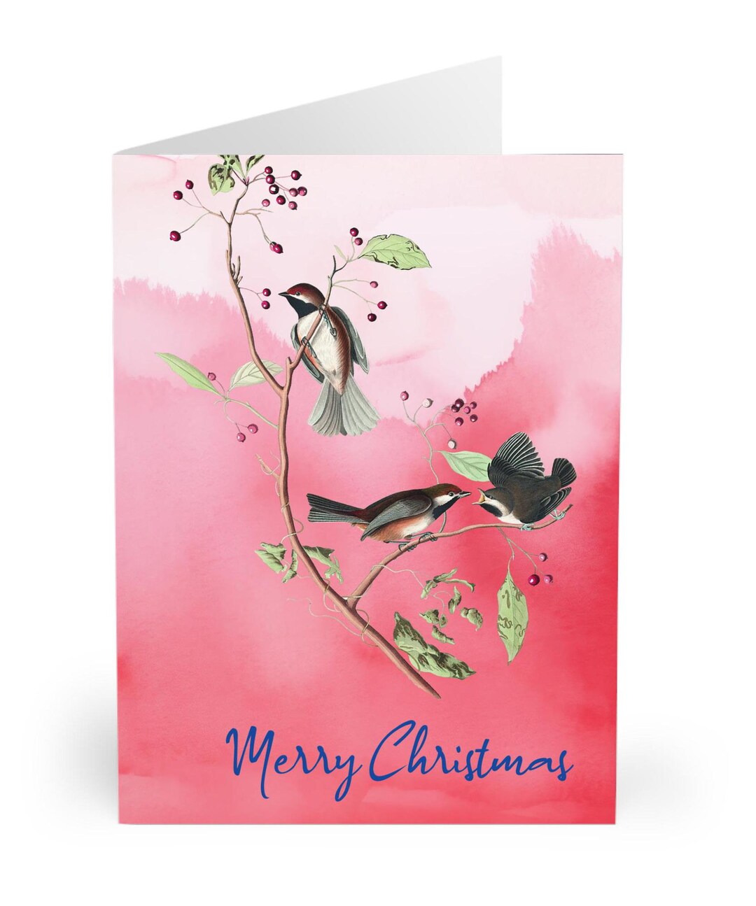 Winter Wonderland Birds Christmas Card, Pack of 5 Holiday Cards, Xmas ...
