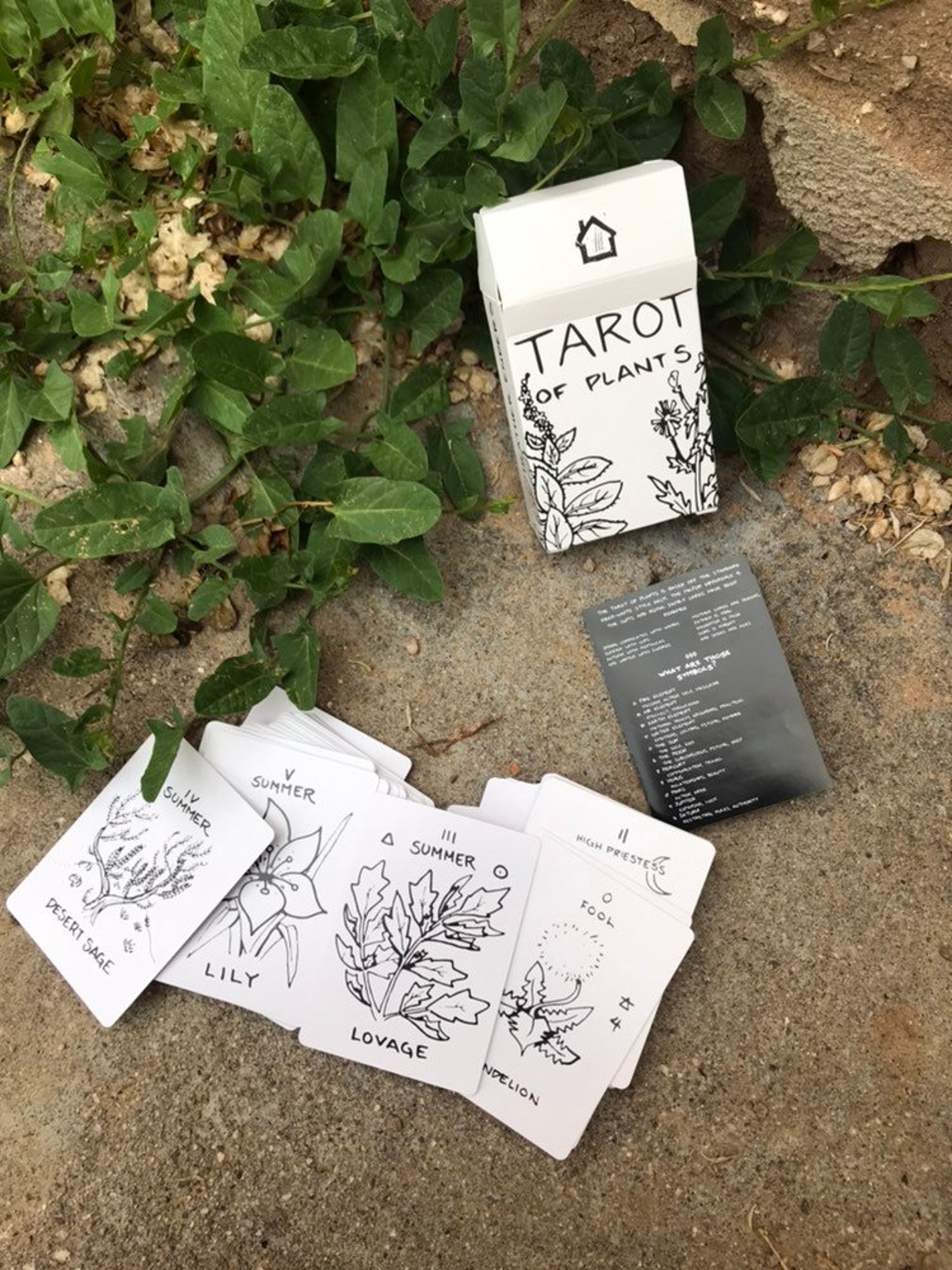 The Tarot of Plants Full Moon Edition - Etsy