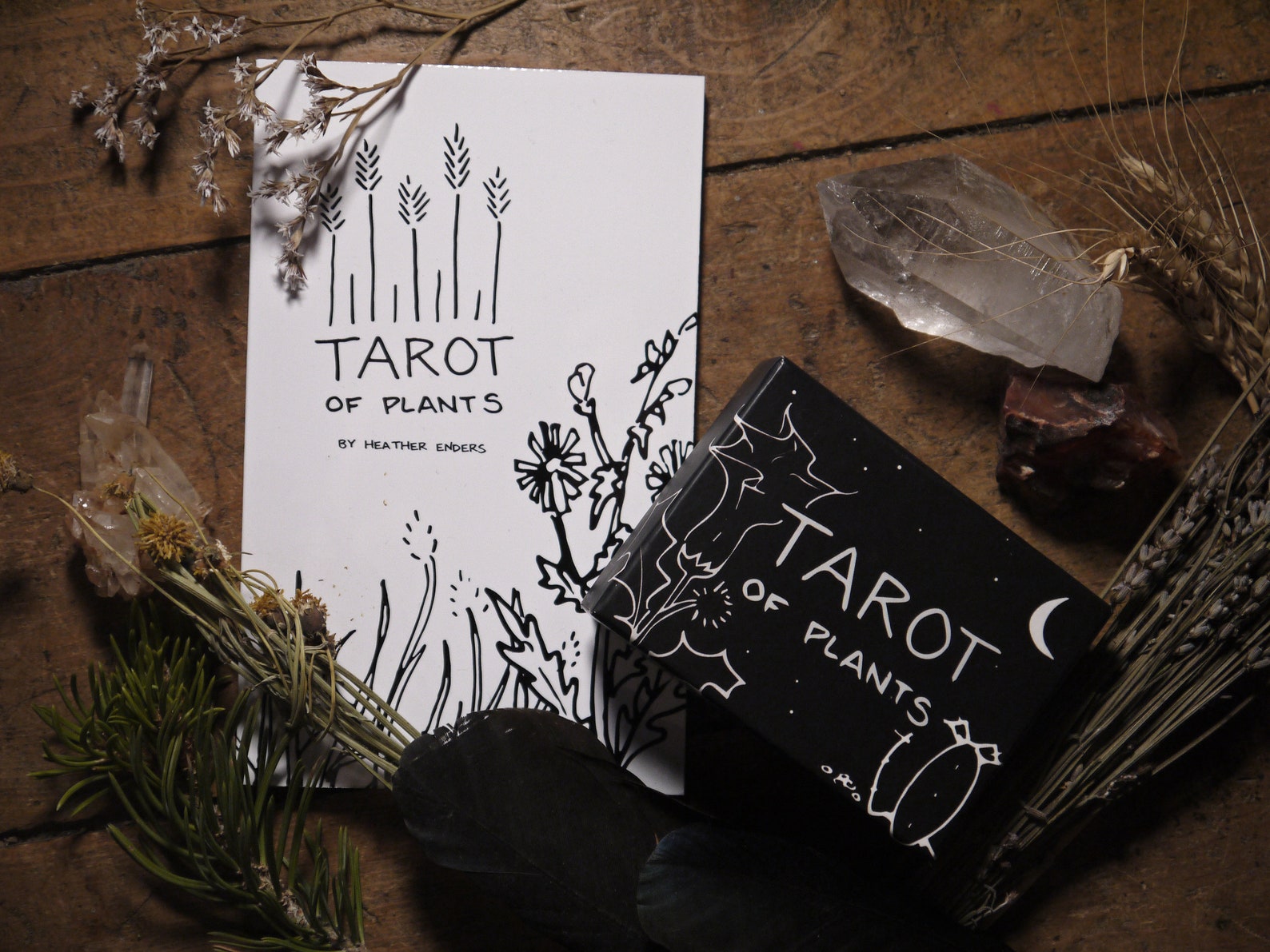 The Tarot of Plants Guide - Etsy