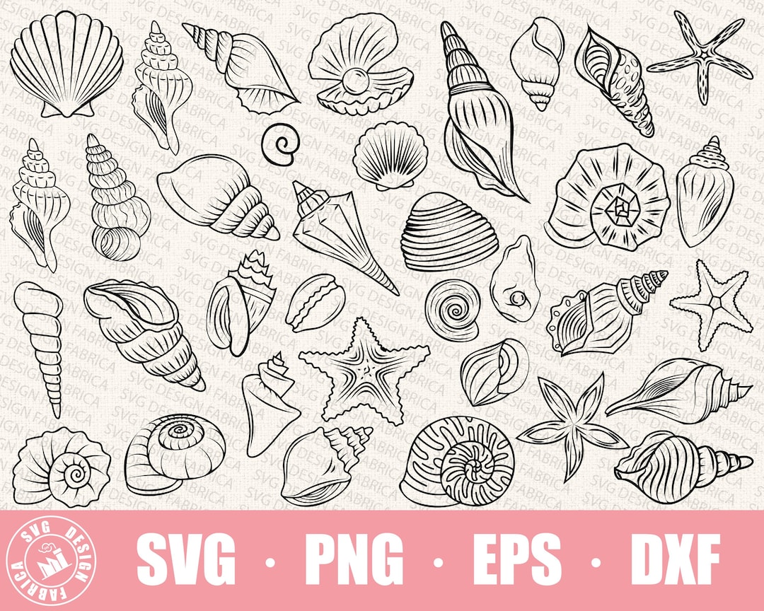 Seashell Svg / Seashell Cricut / Seashell Cut Files / Seashell ...