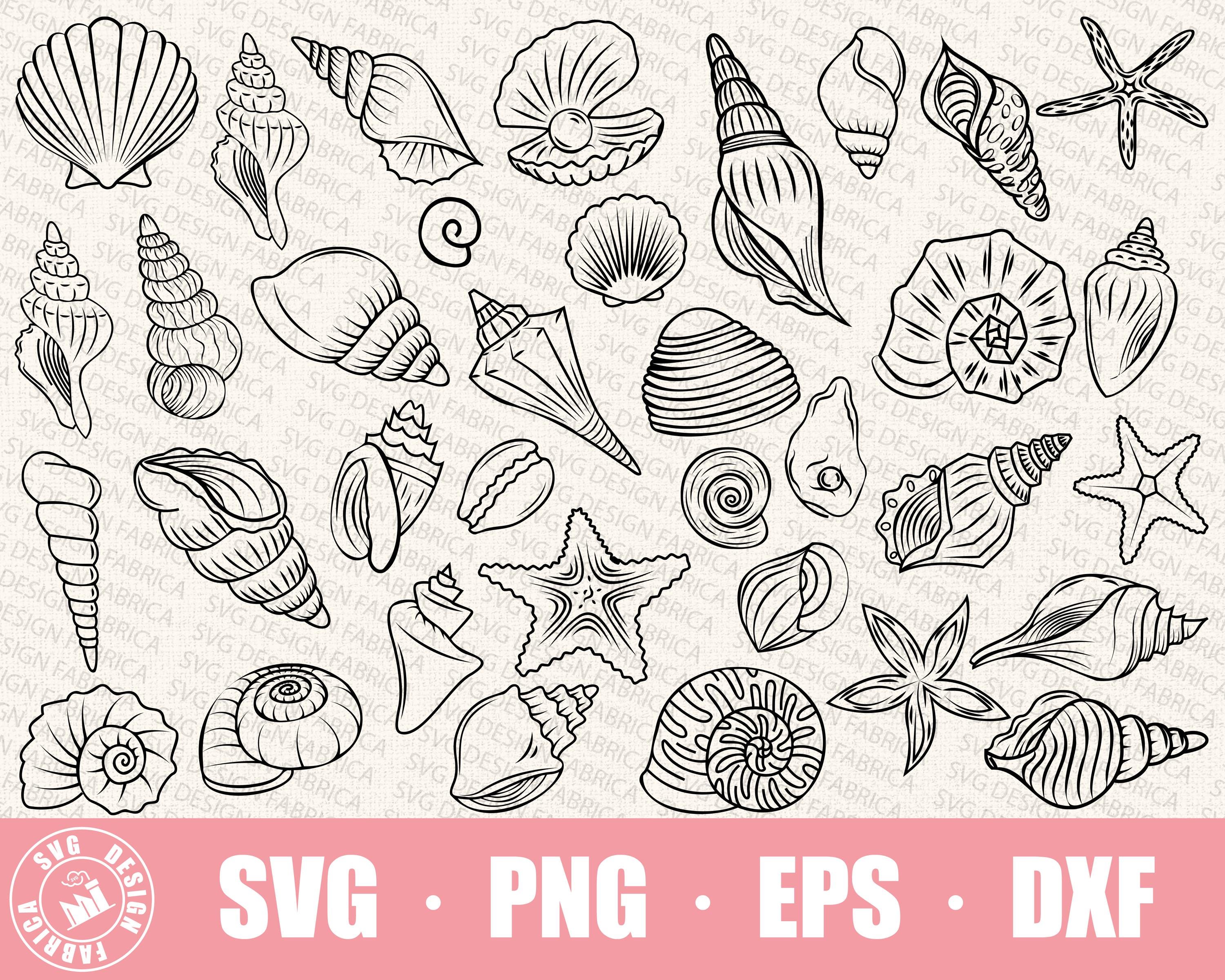 Seashell Svg / Seashell Cricut / Seashell Cut Files / Seashell ...