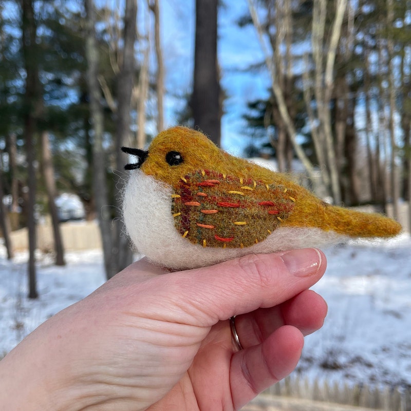 Needle Felted Bird - Etsy