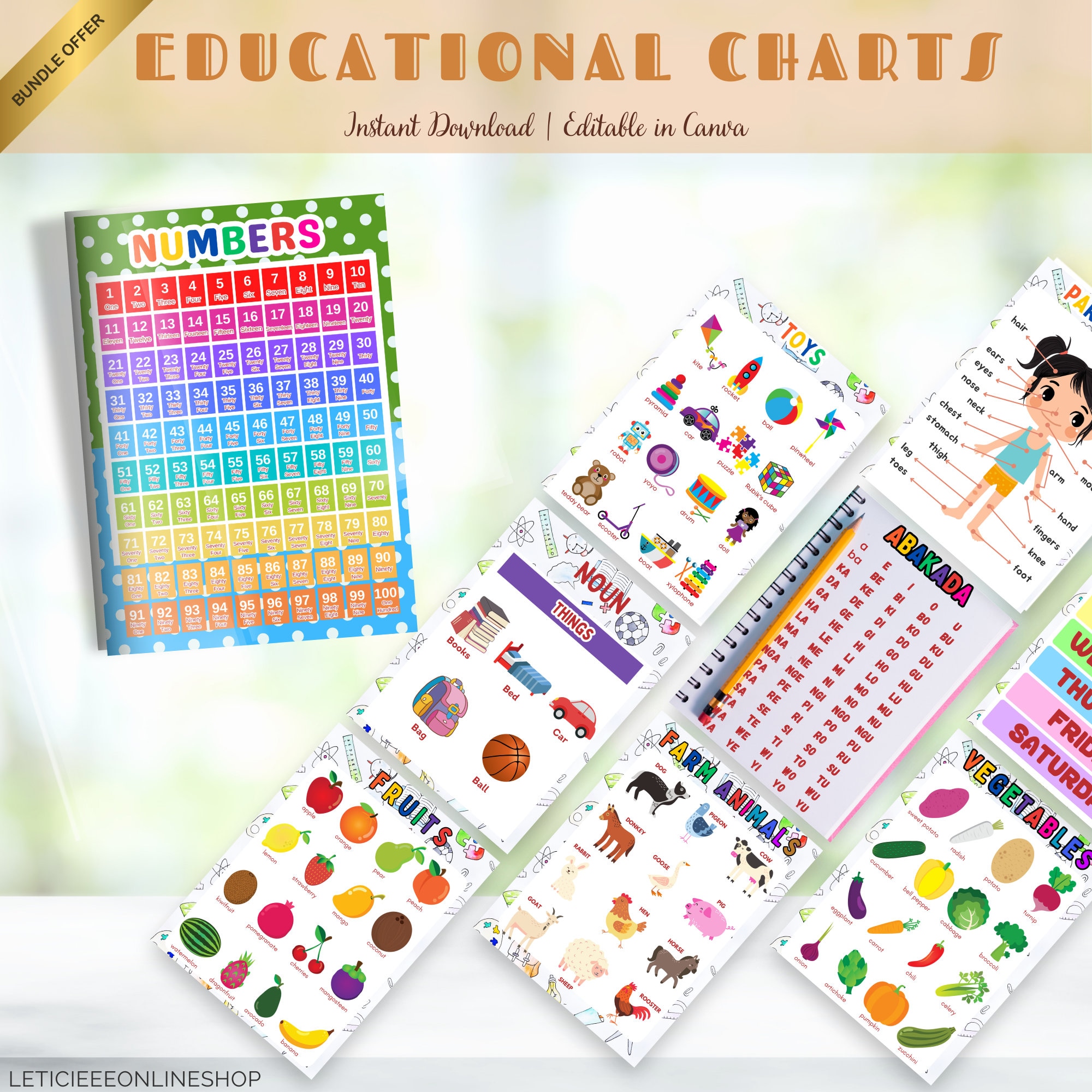Educational Charts Bundle for Kids - Digital Learning Charts ...