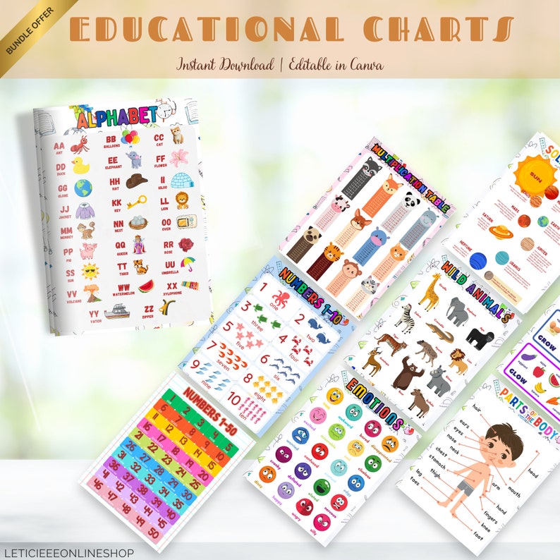 Educational Charts Bundle for Kids - Digital Learning Charts ...