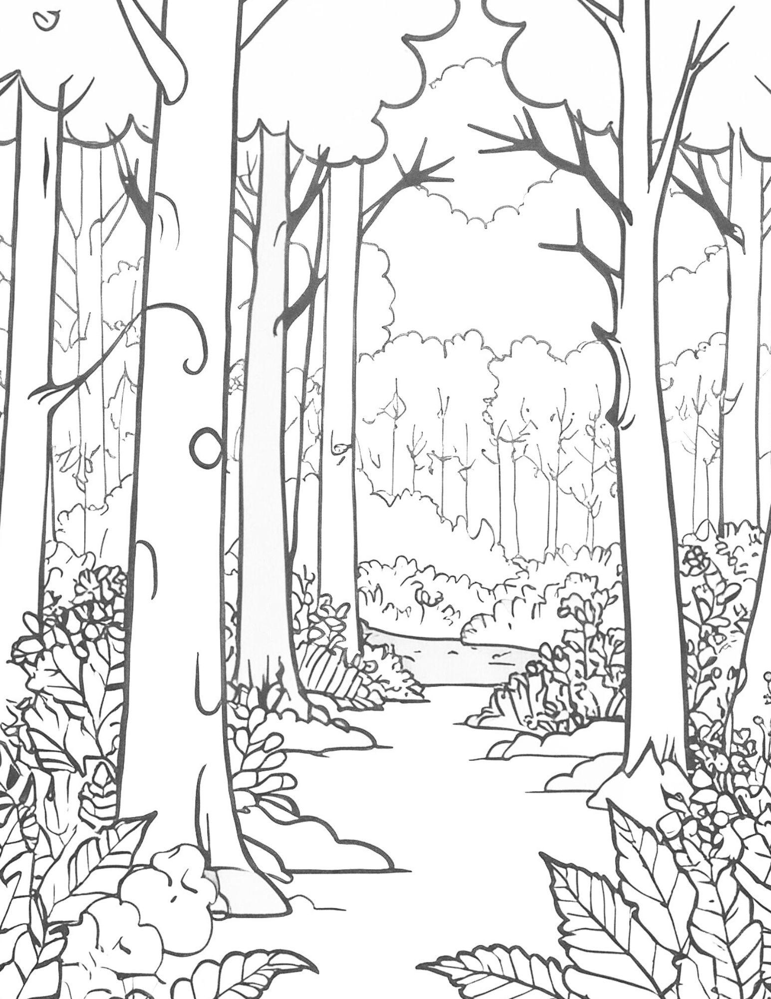 100 Beautiful Scenery Coloring Pages Adult and Kid Coloring Pages Zen ...