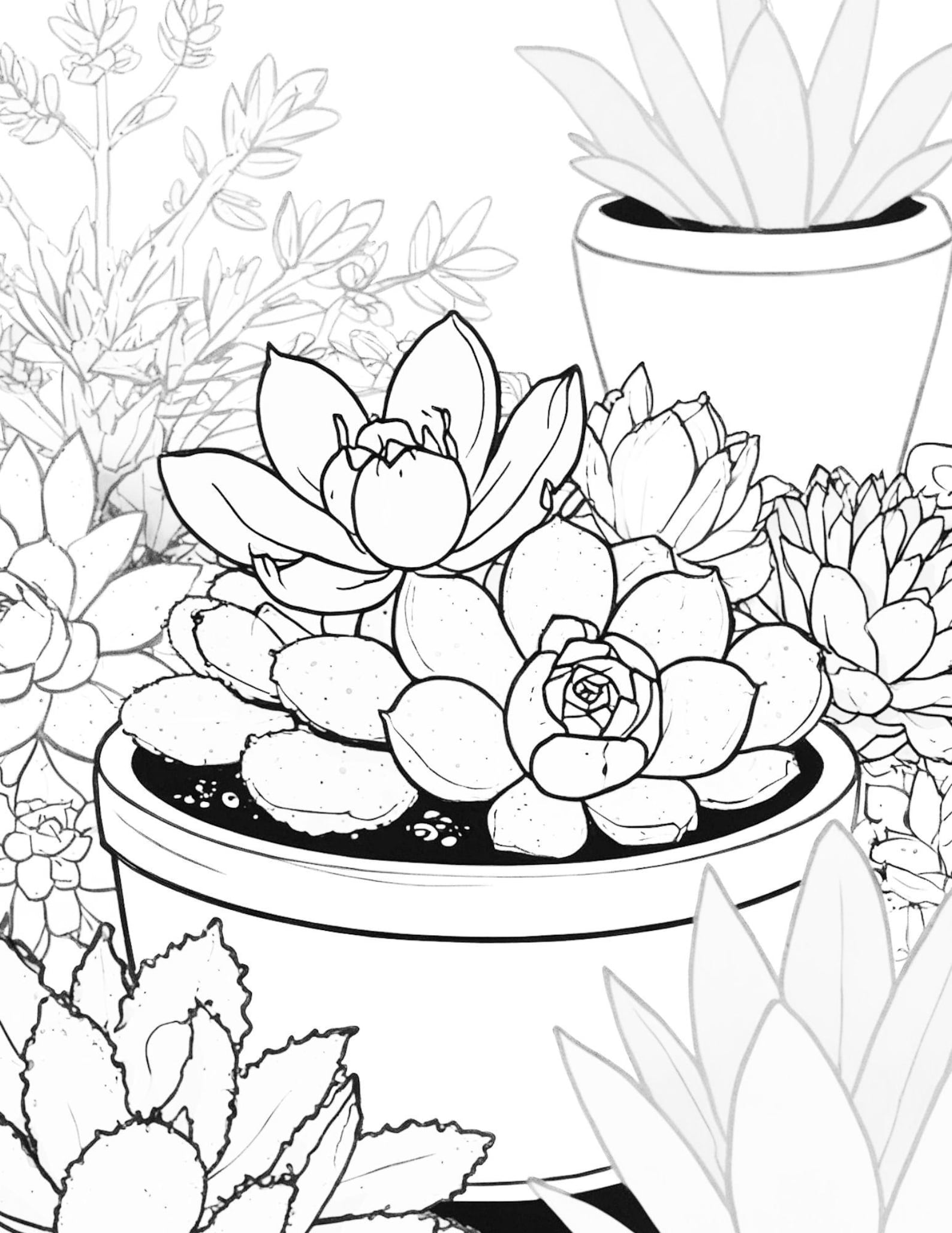 100 Beautiful Scenery Coloring Pages Adult and Kid Coloring Pages Zen ...