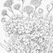110 Beautiful Flowers Coloring Pages Adult and Kid Coloring Pages Zen ...