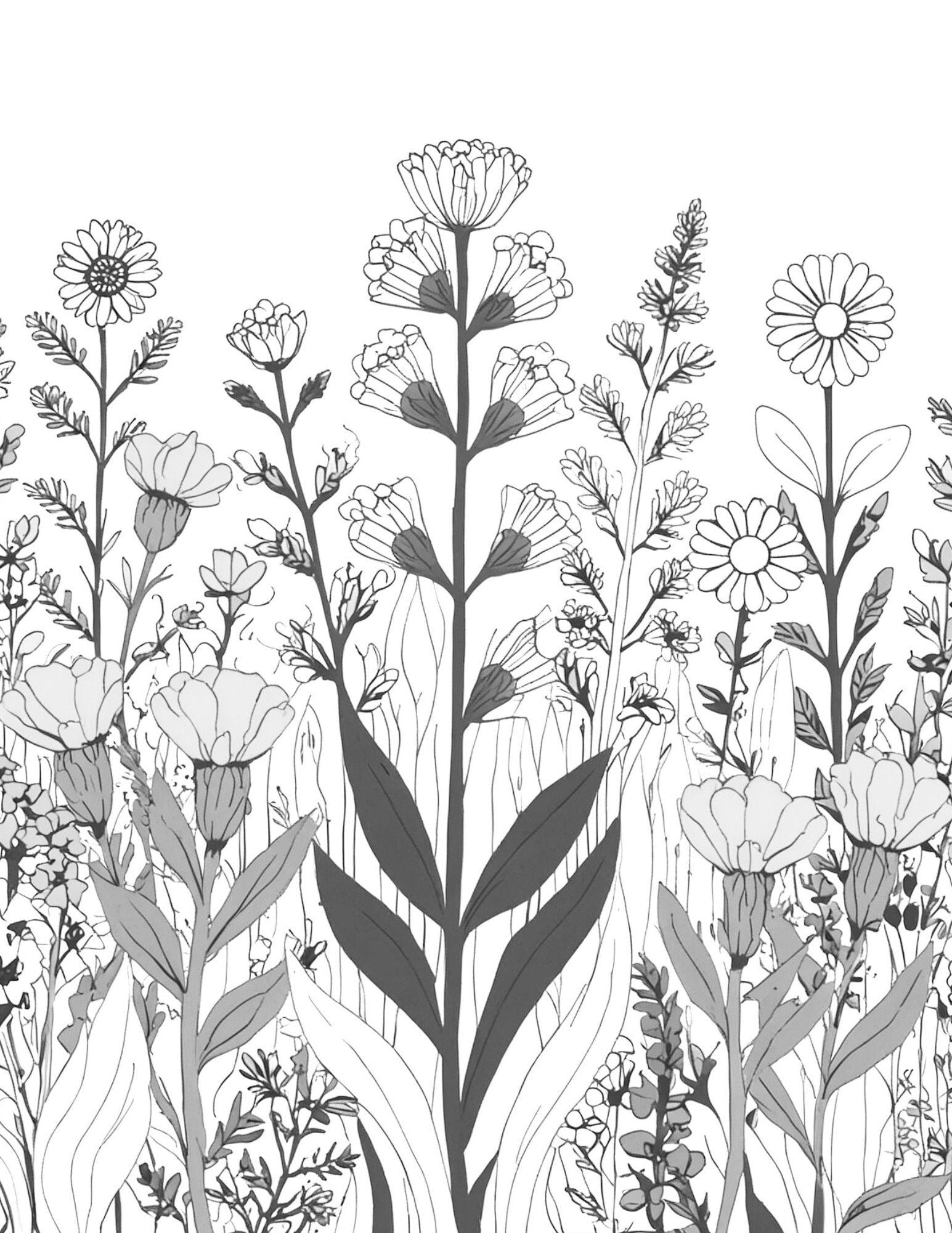 100 Beautiful Scenery Coloring Pages Adult and Kid Coloring Pages Zen ...