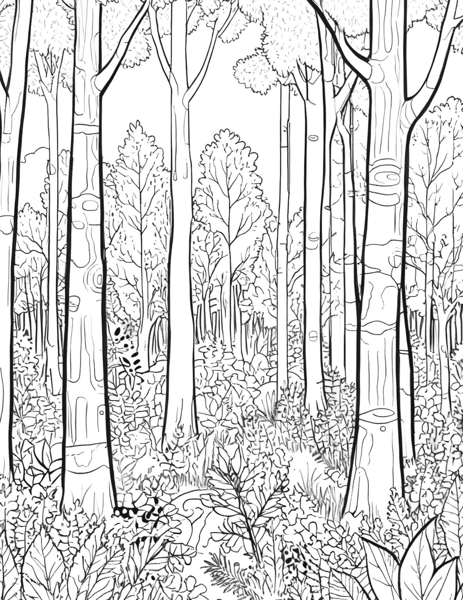 100 Beautiful Scenery Coloring Pages | Adult and Kid Coloring Pages ...