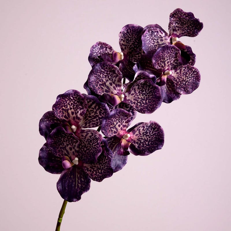 Faux Orchid Dark - Etsy UK