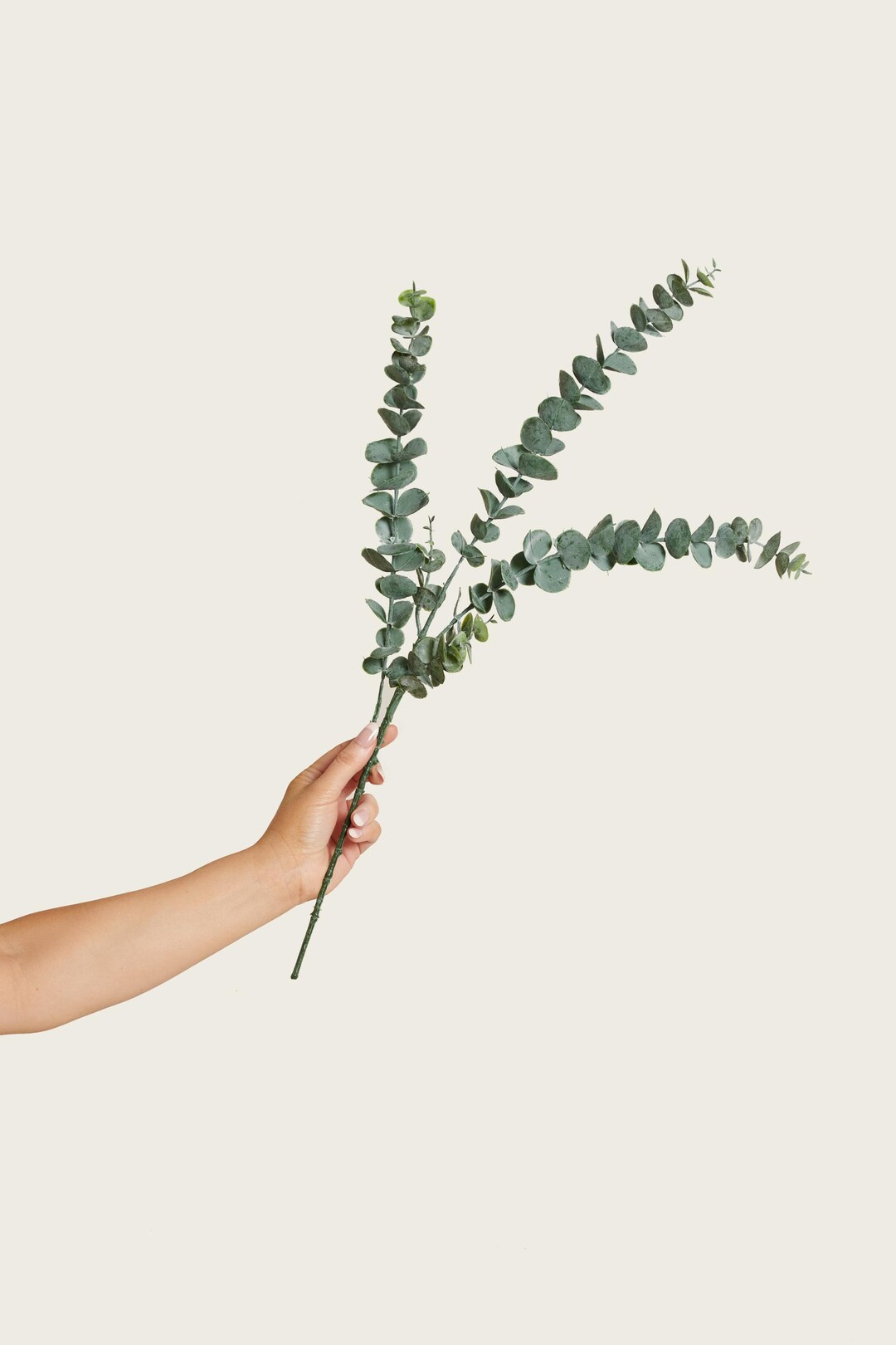 Faux Eucalyptus Stem – Real Touch Greenery for Bouquets, Home Decor ...