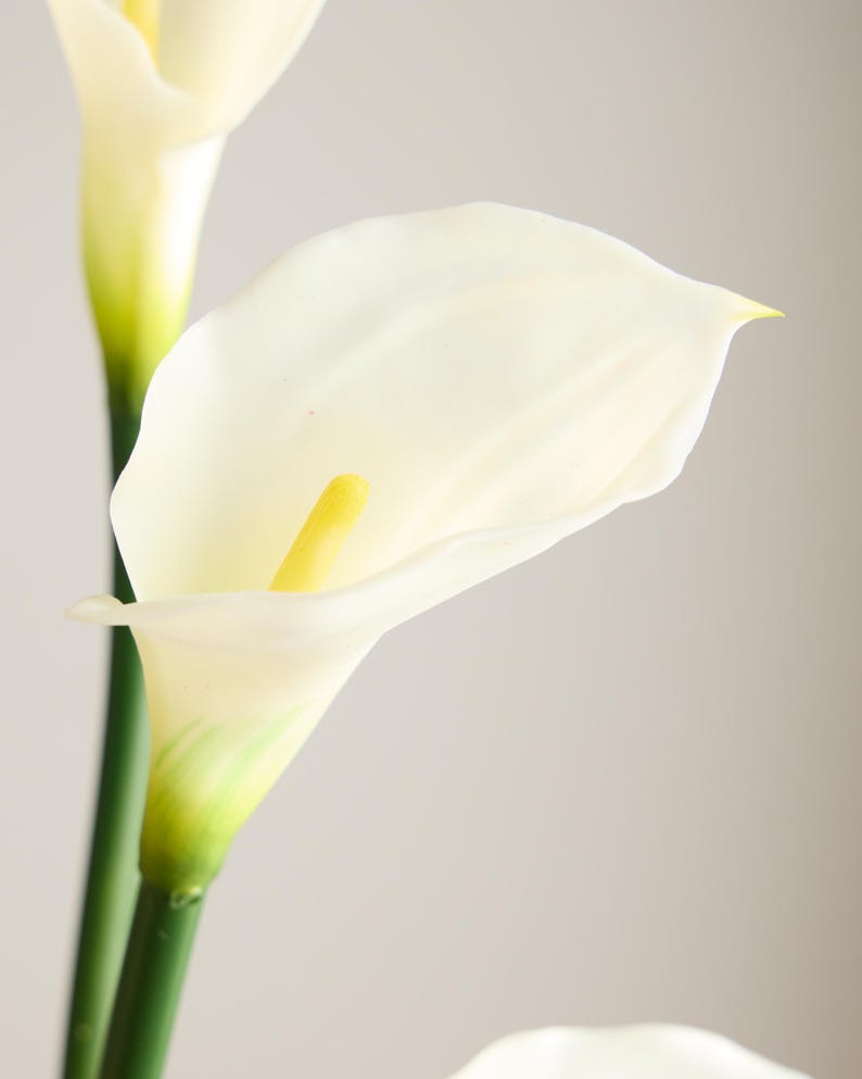 White Real Touch Calla Lily – Artificial Calla Lily, Elegant Wedding ...