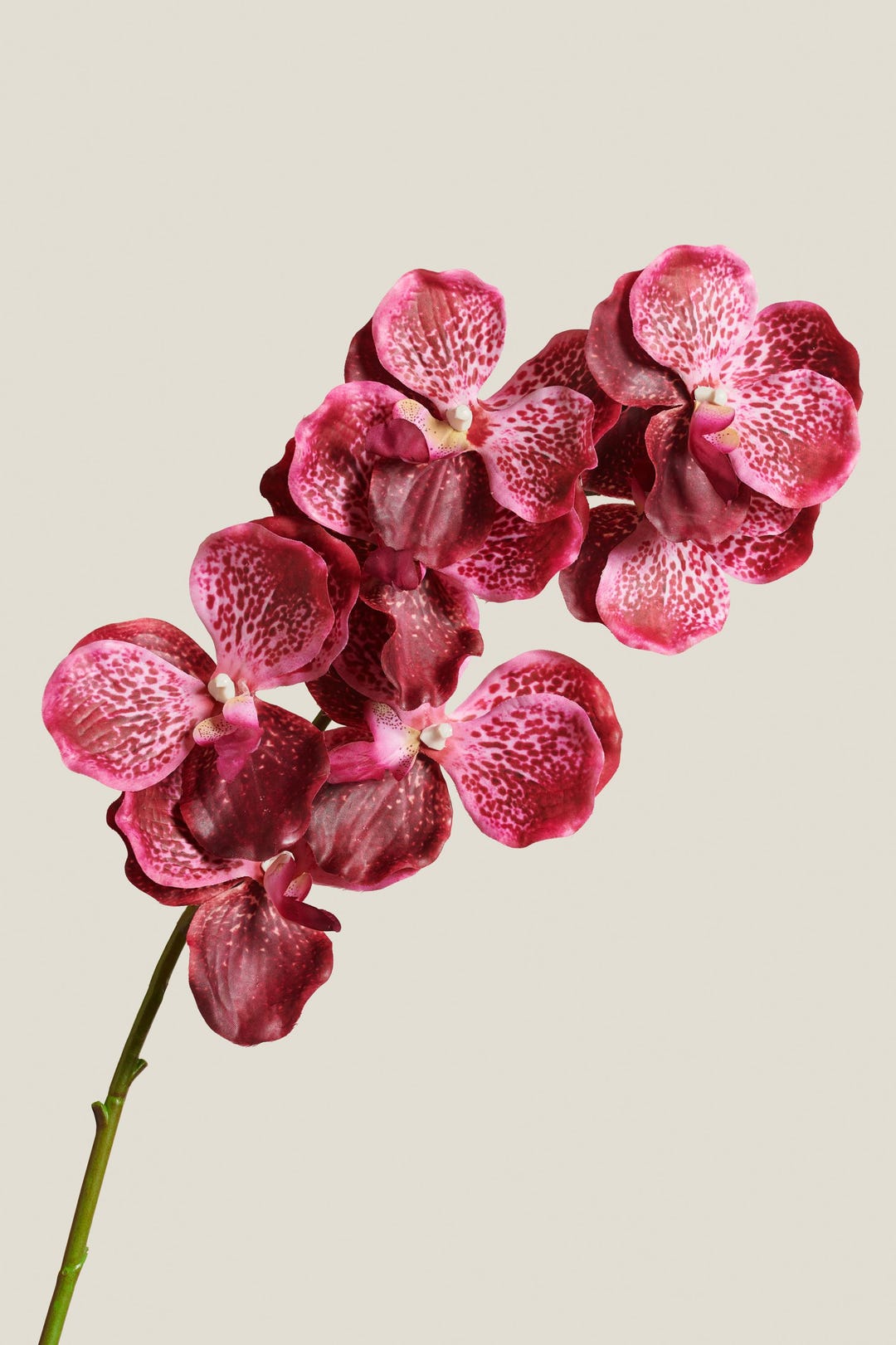 Real Touch Orchid Stem Hot Pink – Faux Orchid for Luxe Floral ...