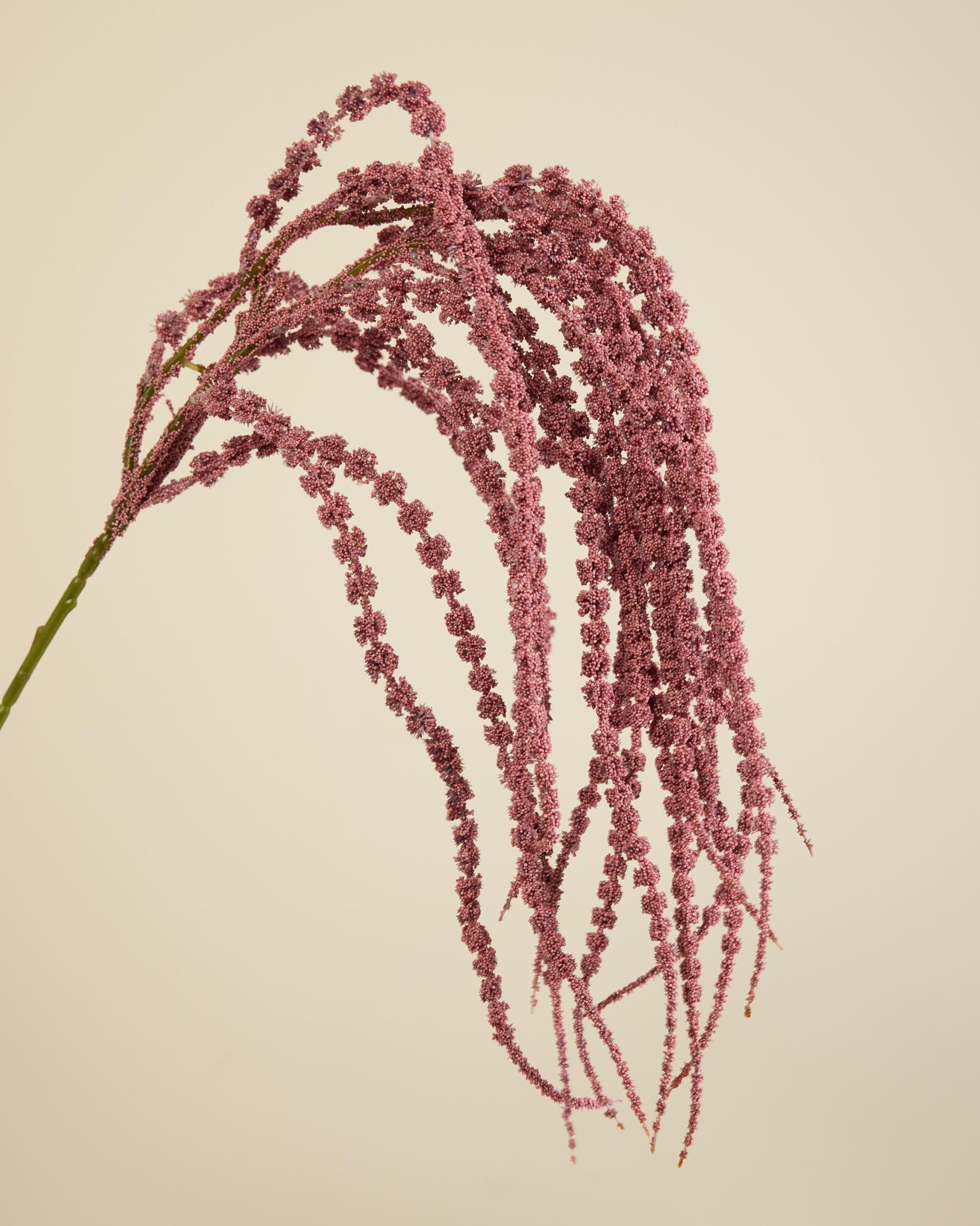 Artificial Purple Amaranthus Stem – Hanging Flower for Bouquets ...