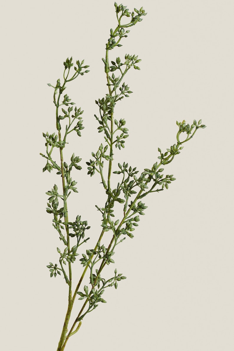 Artificial Green Filler Stem – Rustic Leaf Spray - Etsy