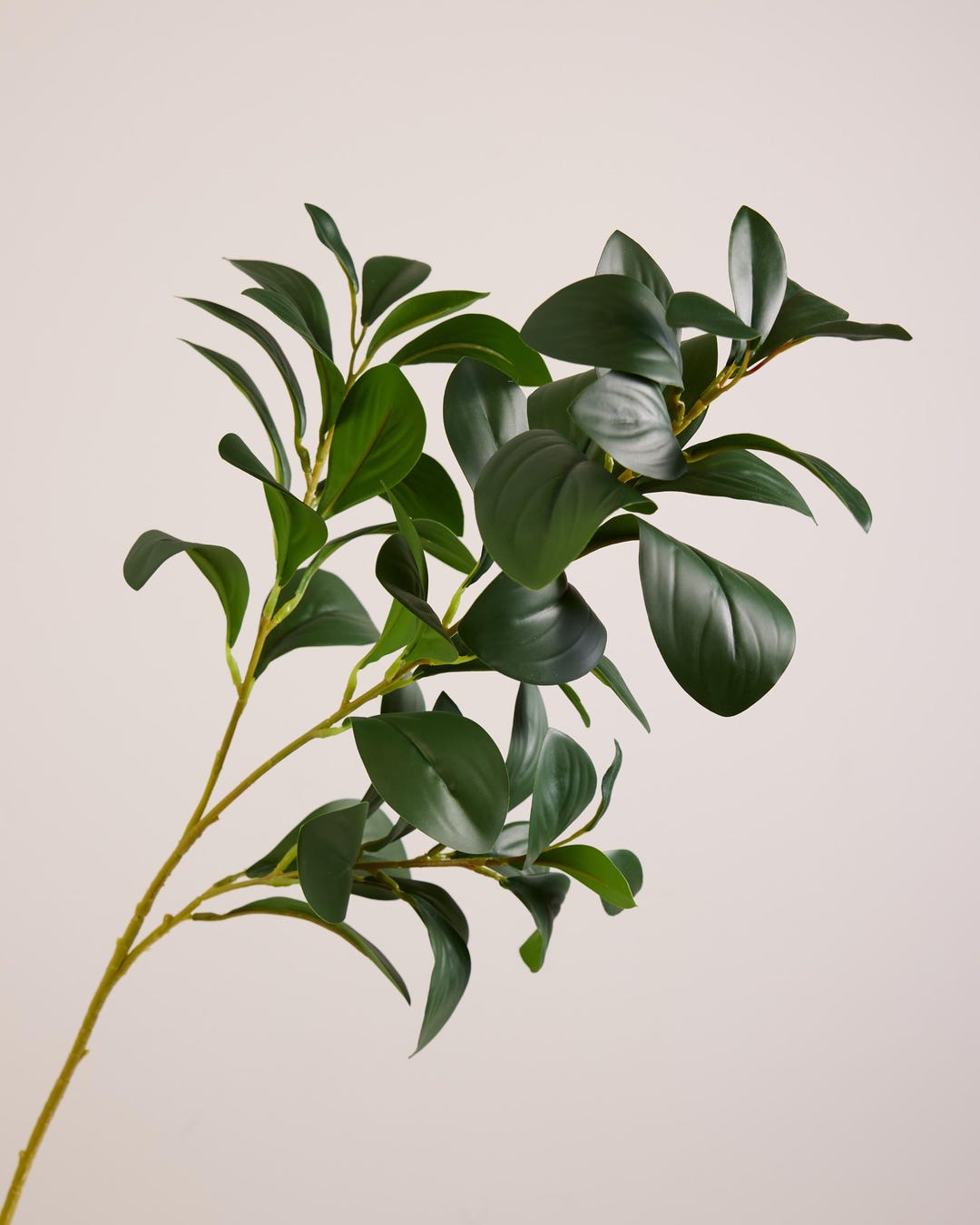 Dark Green Leaf Spray - Filler Foliage Stem - Etsy