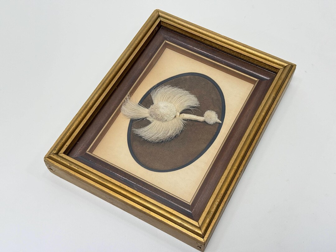 Vintage Indigenous Canadian Caribou Hair Tufting Art / Framed Native ...