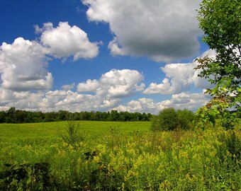 Ohio landscape | Etsy