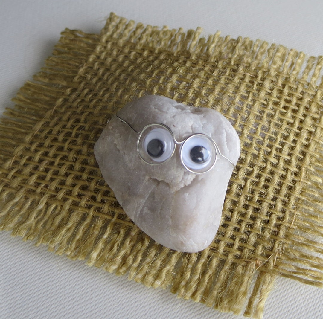 Real Pet Stone Wearing Glasses Natural Smile Rock Pet Bed - Etsy