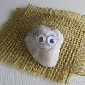 Real Pet Stone Wearing Glasses Natural Smile Rock Pet Bed - Etsy