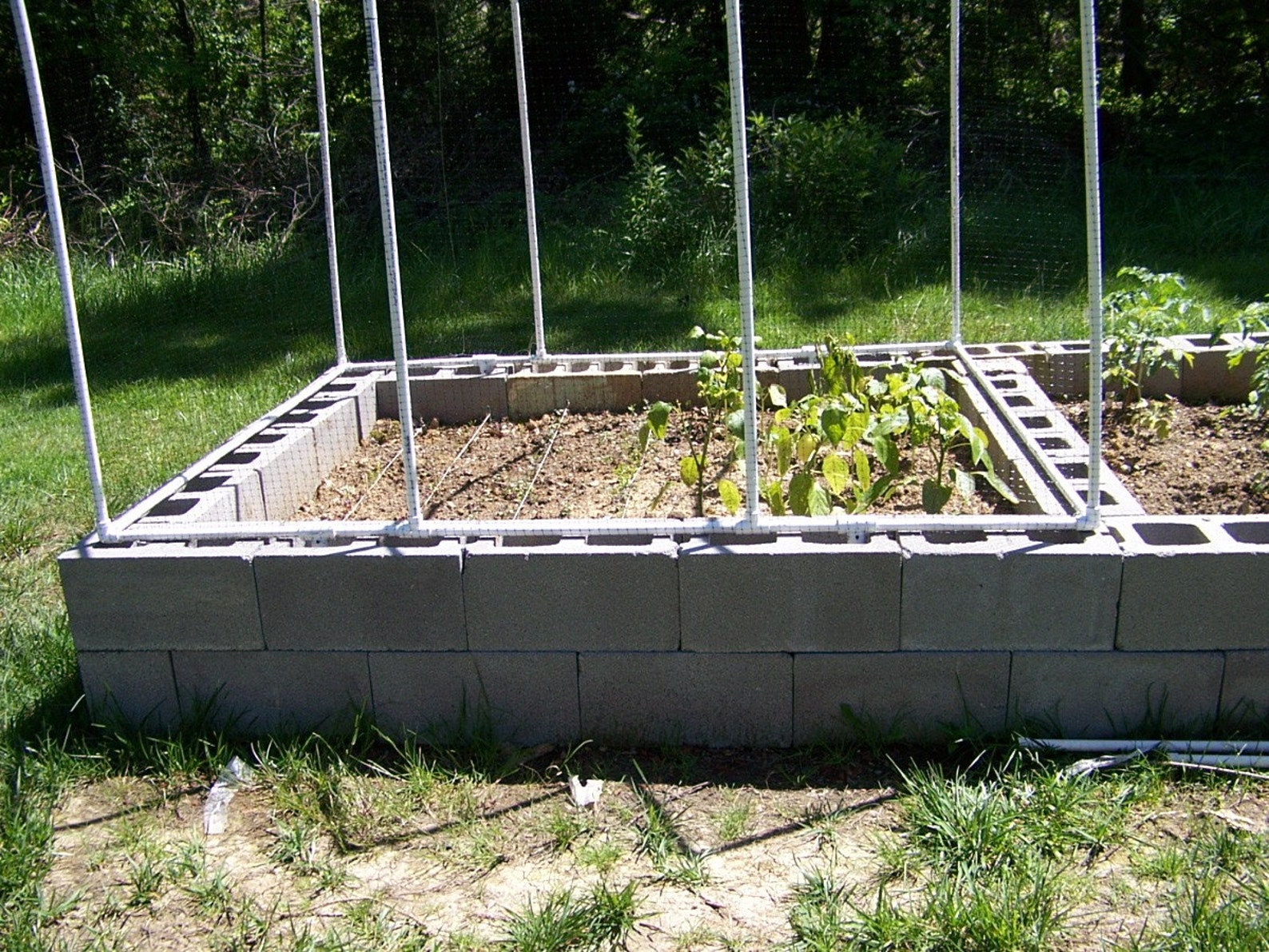 Garden Guard or Deluxe Cold Frame and Raised Bed Pdf Pattern 3 in 1 ...